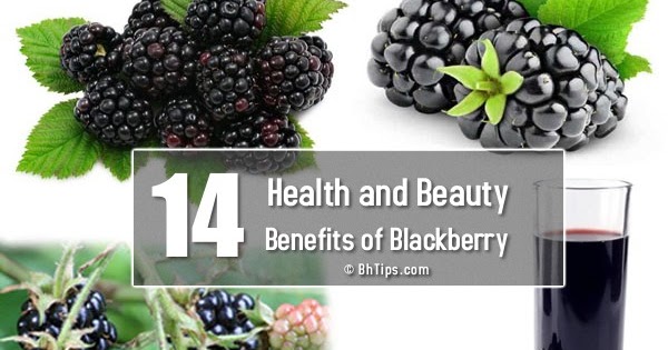 14 Amazing Benefits Of Blackberry Fruit - Best Homemade Tips