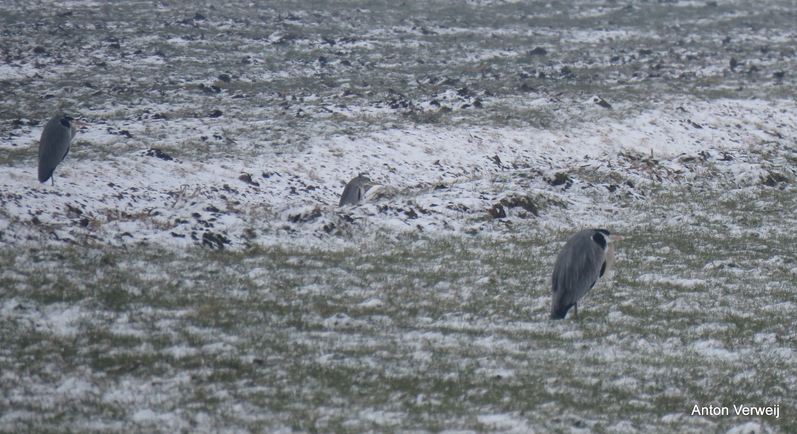 God is in de stilte: Koud hè?