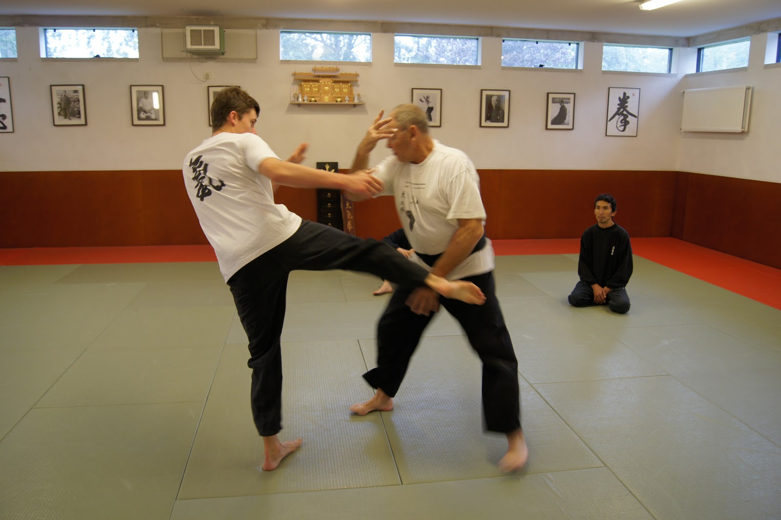TAI KI KEN - 'Great Ki Boxing' - Tai Ki Ken Honbu Amsterdam 太気至誠拳法