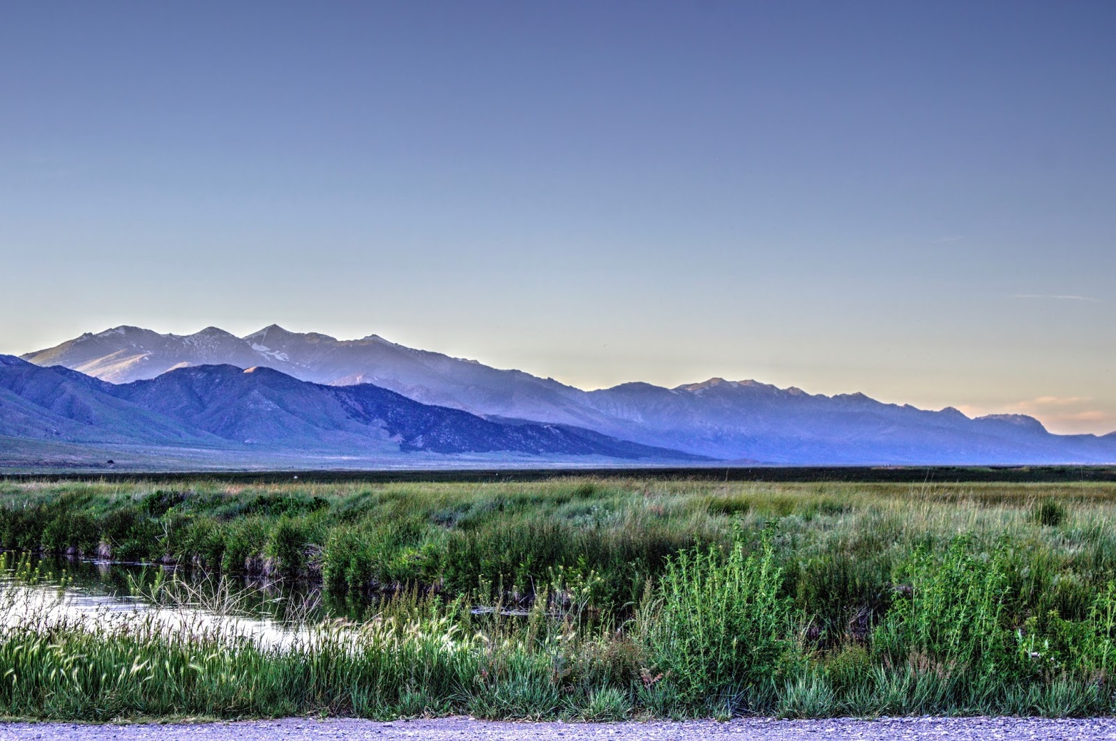 Erik’s Fly Fishing Blog: Ruby Marsh