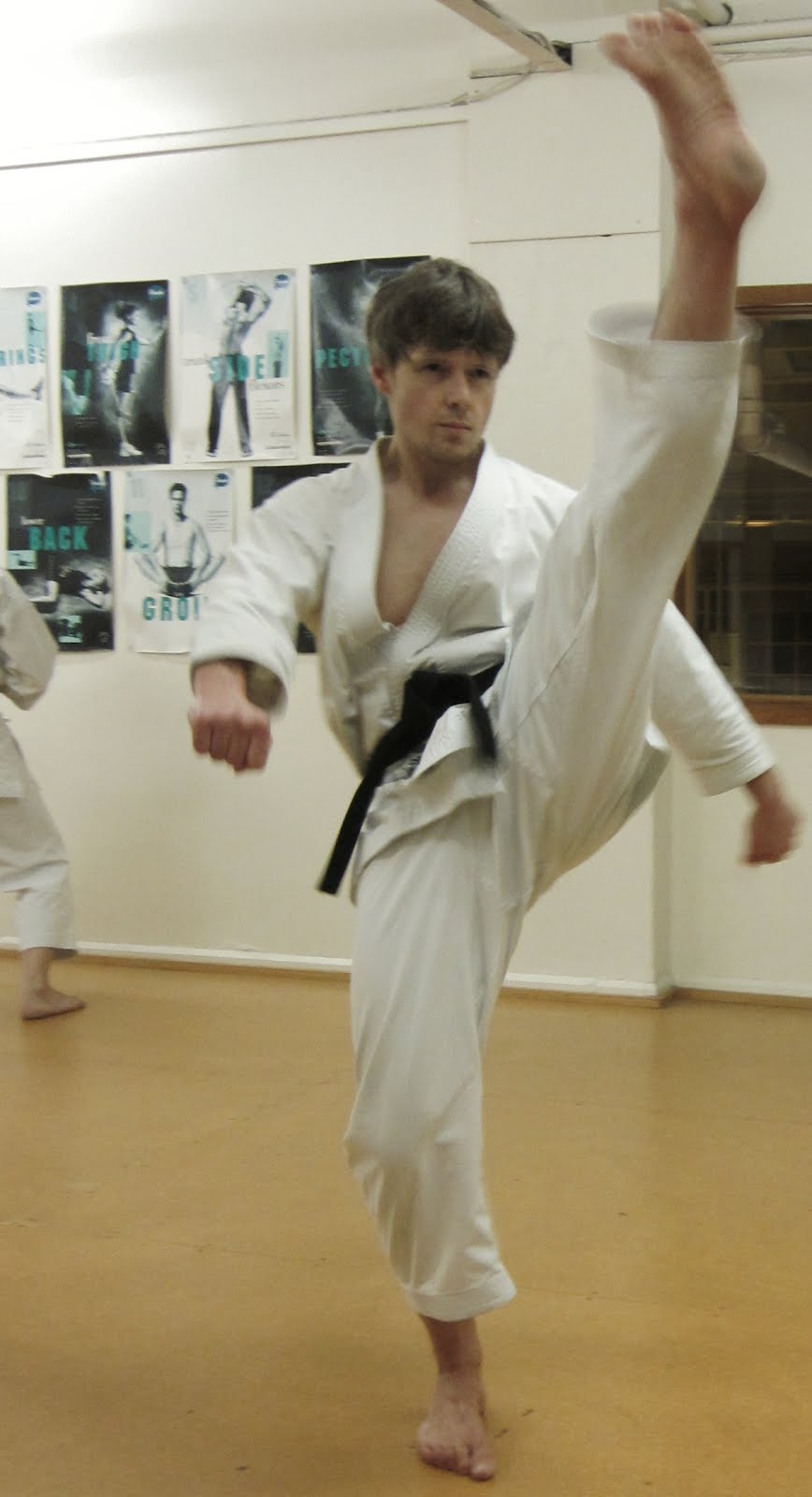 André Bertel's Karate-Do: André Bertel’s Karate-Do – 5th Anniversary!