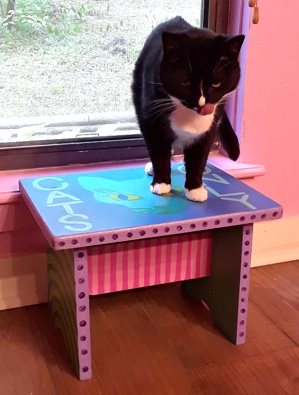 HOME DECOR | Cats Only Painted Wood Stool