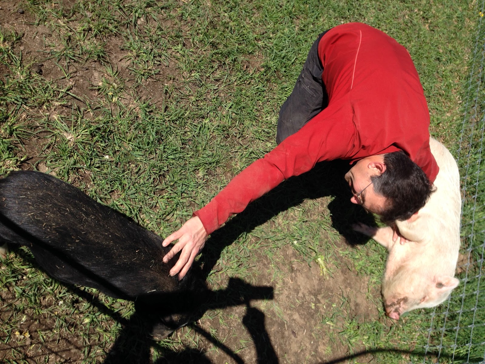 Dispatch from the Digital Health Frontier: Unity Farm Journal - Fifth ...