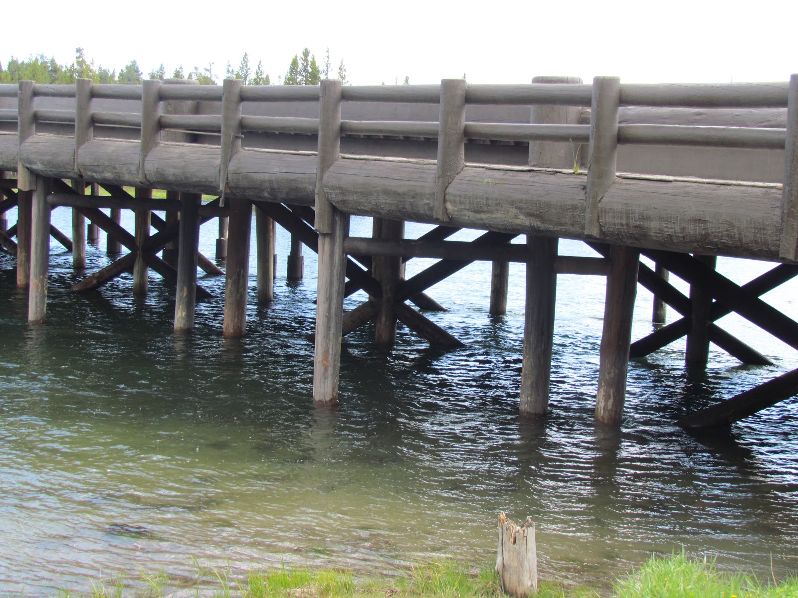 The Wolff's Tale: Fishing Bridge