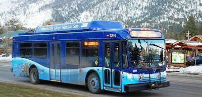 Como Moverse en South Lake Tahoe: Consejos de Transporte