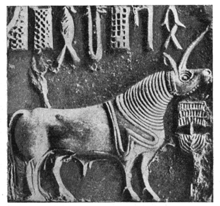 Nature: Observations and Meanings: Mythic Animals: Horses: Karkadan of ...