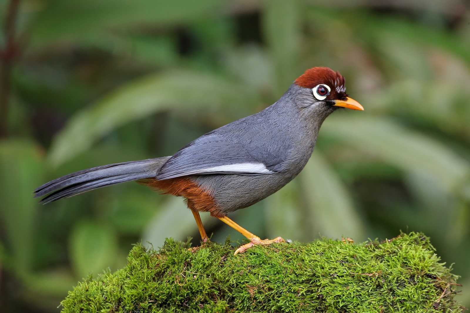 Pertinent perches are paramount