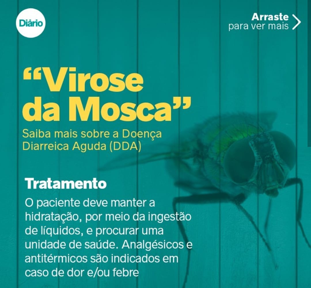 Virose da Mosca 11 mil cearenses já foram notificados com a doença só ...
