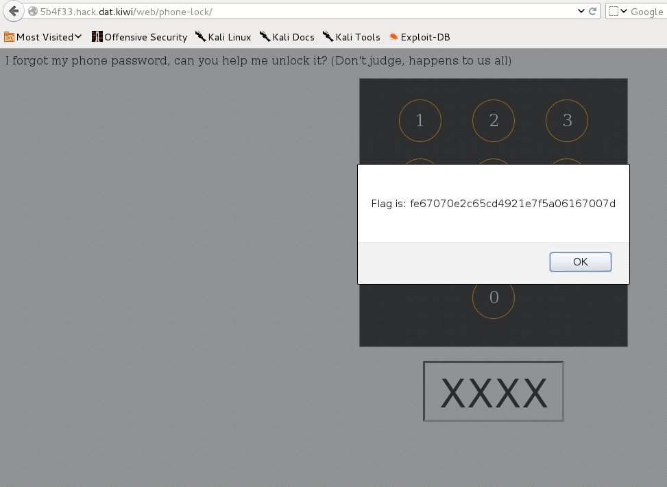 CTF Hack Dat Kiwi Writeups