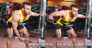 One Arm Cable Reverse Fly | Mulia Fitness