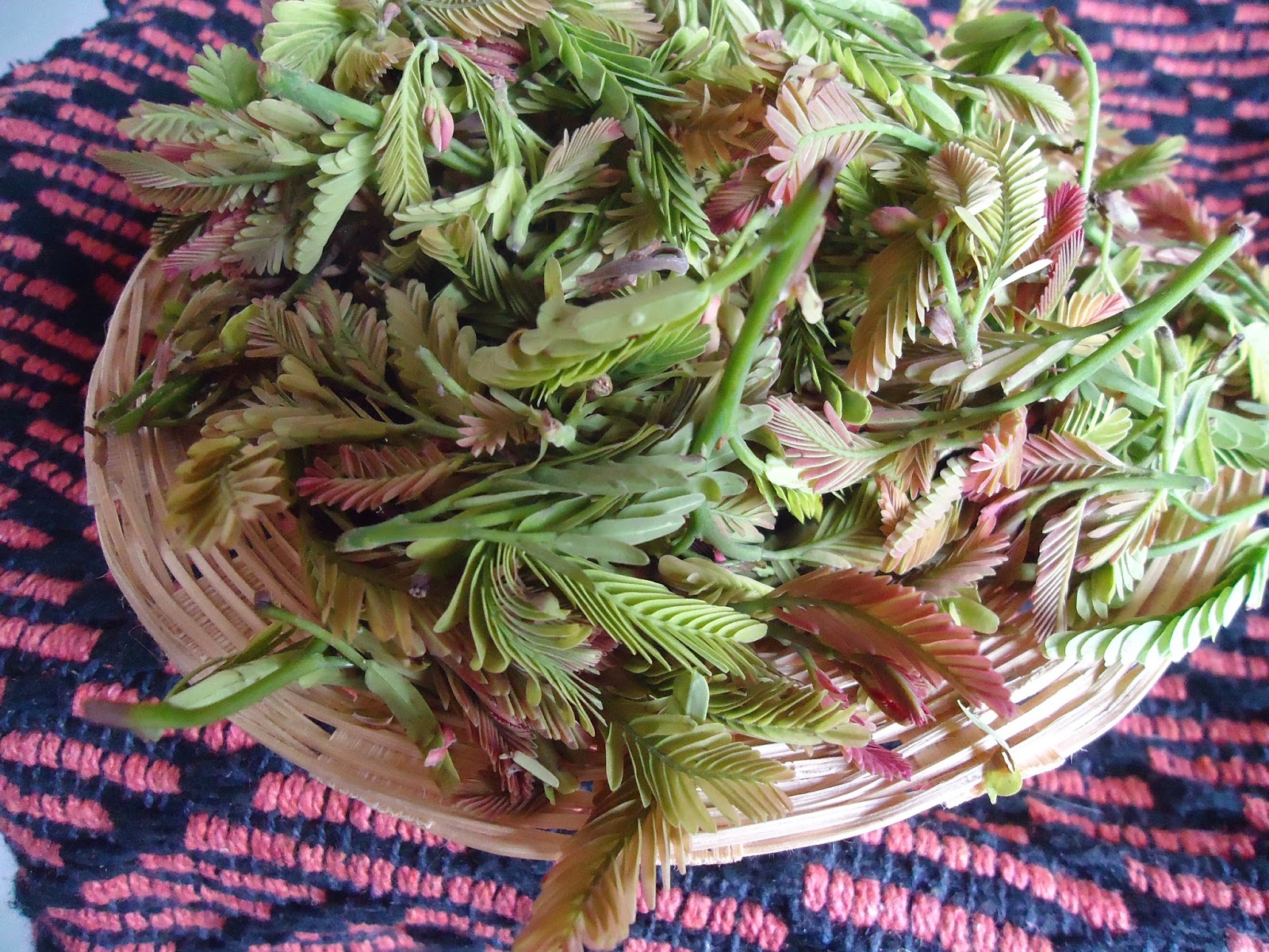 Kusuma's Abhiruchi: Chinta chiguru Karam