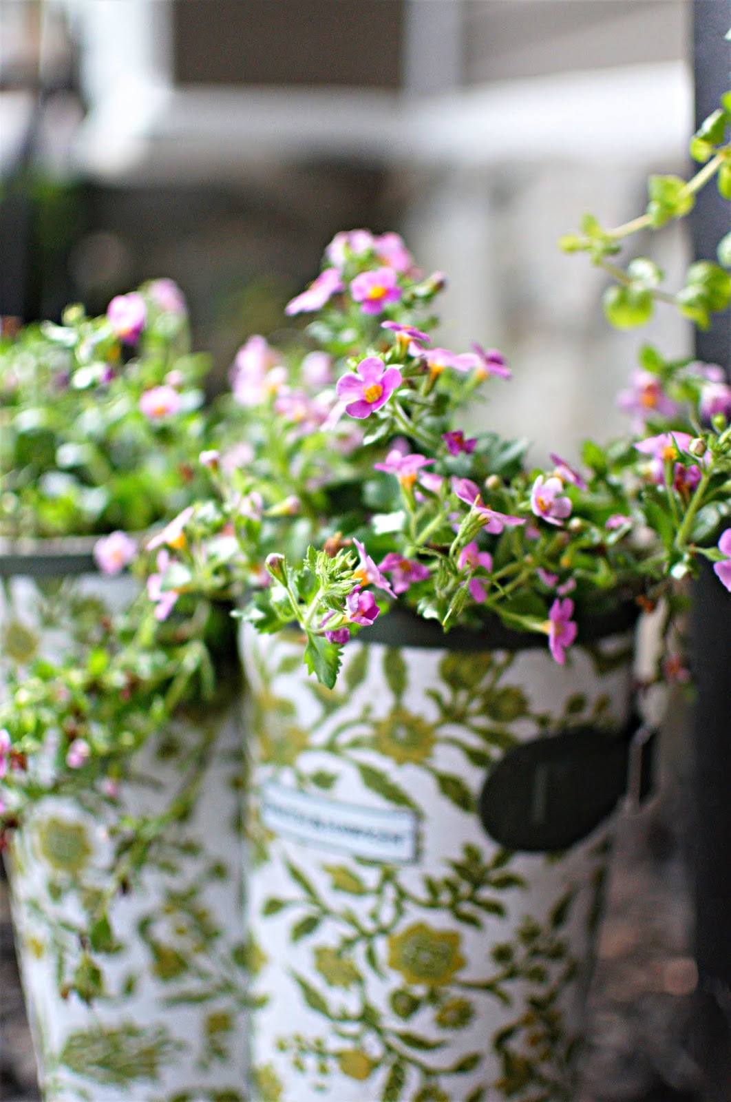 Gwen Moss: replenishment and a fresh flower wreath.