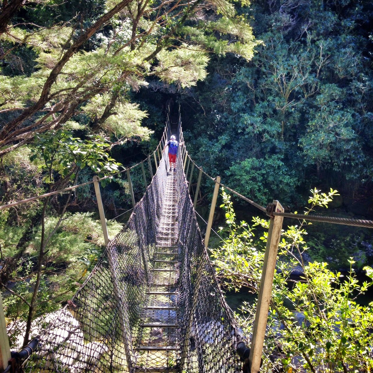 Golden Bay Delights {Pupu Springs, Labryinth Rocks, Dolphins and Wainui ...