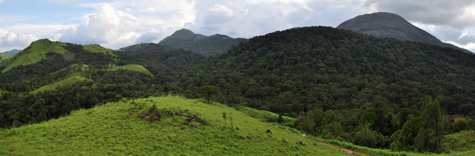 Pushpagiri - JungleKey.in Image