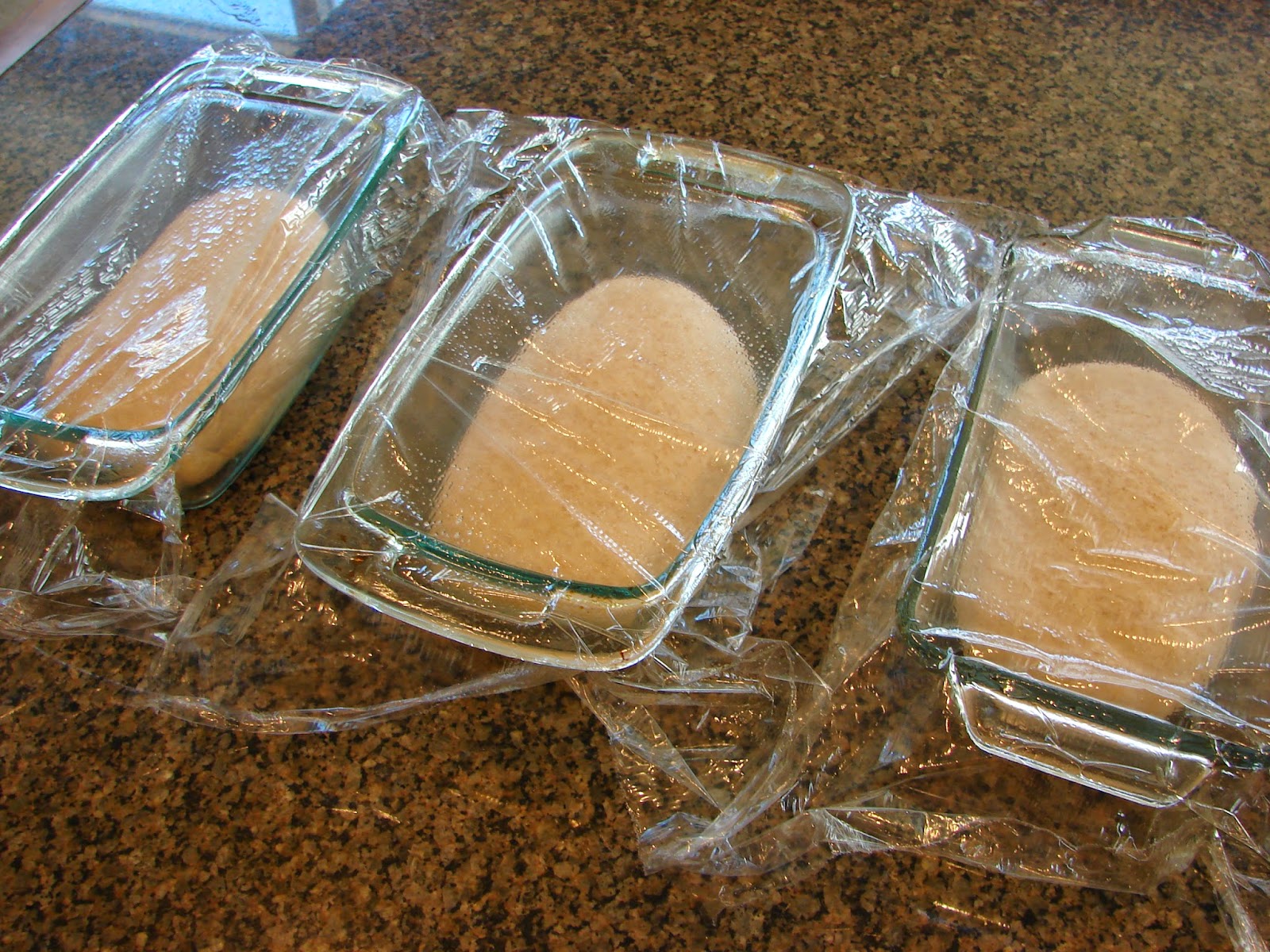 A Bear in the Kitchen: My Very Favorite Wheat Bread