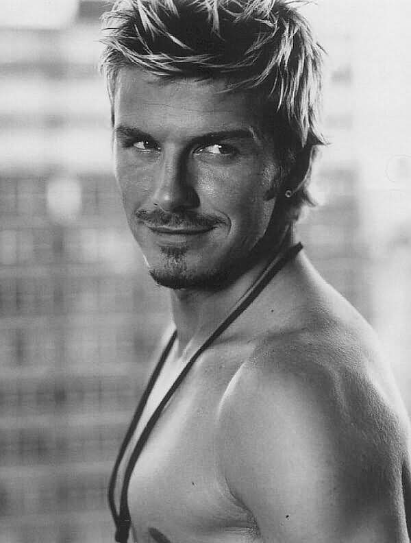 Lo que un hombre quiere: El hombre Metrosexual