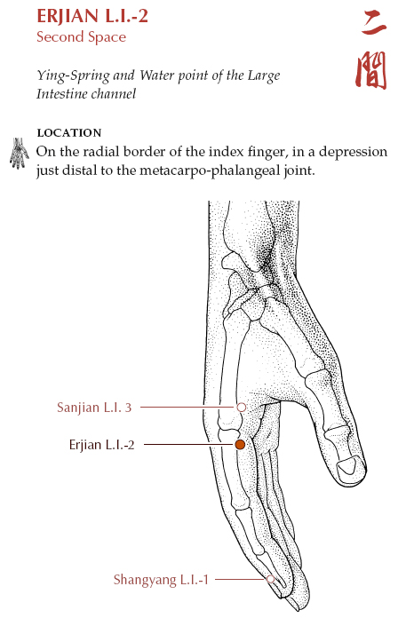 Acupuncture Masters: Acupuncture Points Database - Large Intestine channel