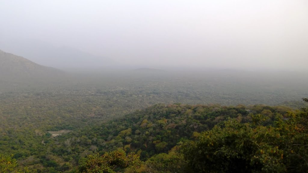 Tamilnadu Tourism: Sathyamangalam Wildlife Sanctuary and Tiger Reserve
