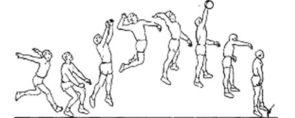 Voleibol, Historia y Caracteristicas