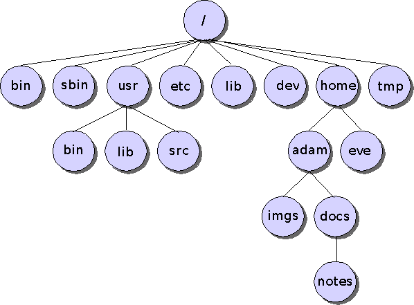 Système De Fichiers Sous Linux ~ Linux