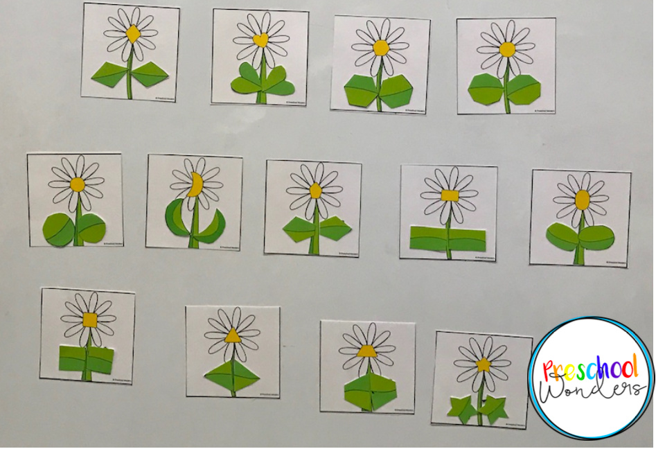 Preschool Wonders: Flower Power: Learning All About Plants!