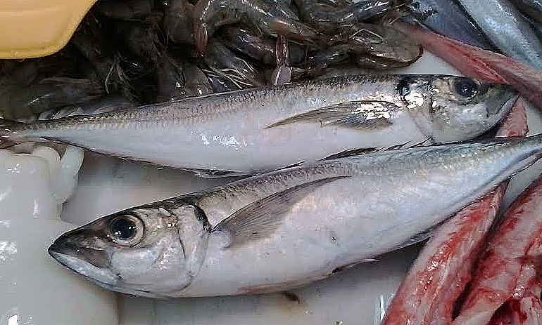 MY KITCHEN IN SPAIN: BIGGER FISH TO FRY