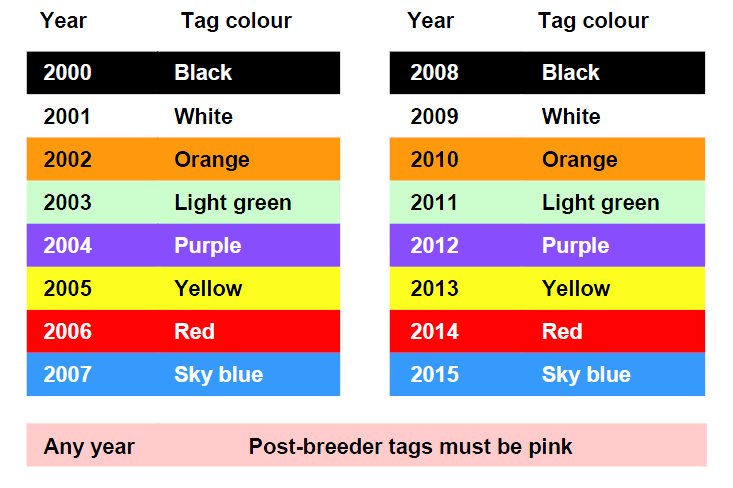 Daramalan Diary: Ear tag colour codes - Purple for 2012