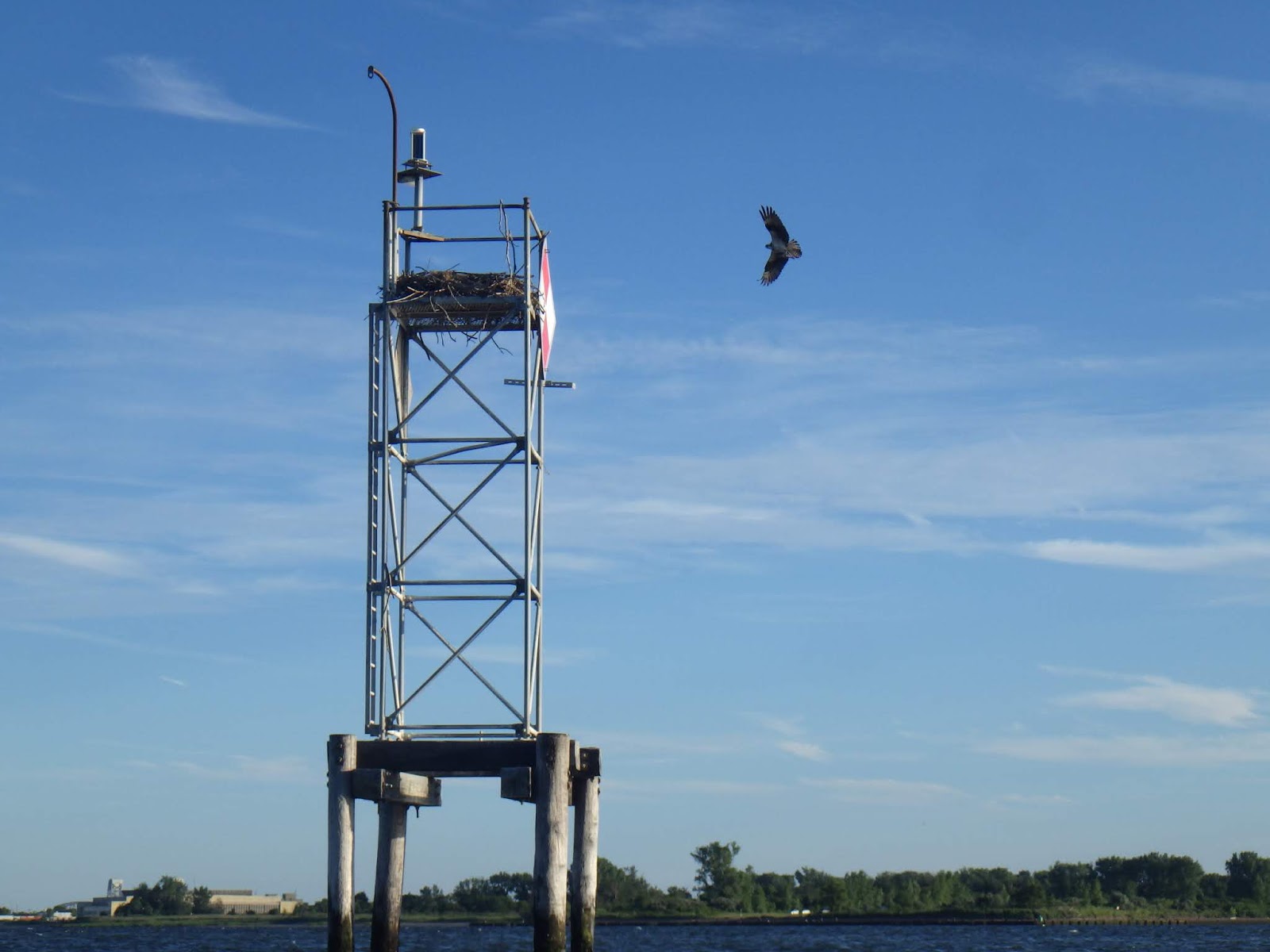 Frogma: Friday night paddle - around Ruffle Bar