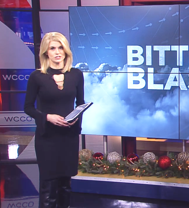 THE APPRECIATION OF BOOTED NEWS WOMEN BLOG : liz collin