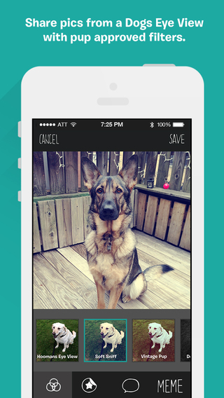12 Must-Have Apps for Dog Lovers | Australian Dog Lover