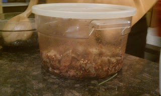 Davis in China: Frog Hot Pot