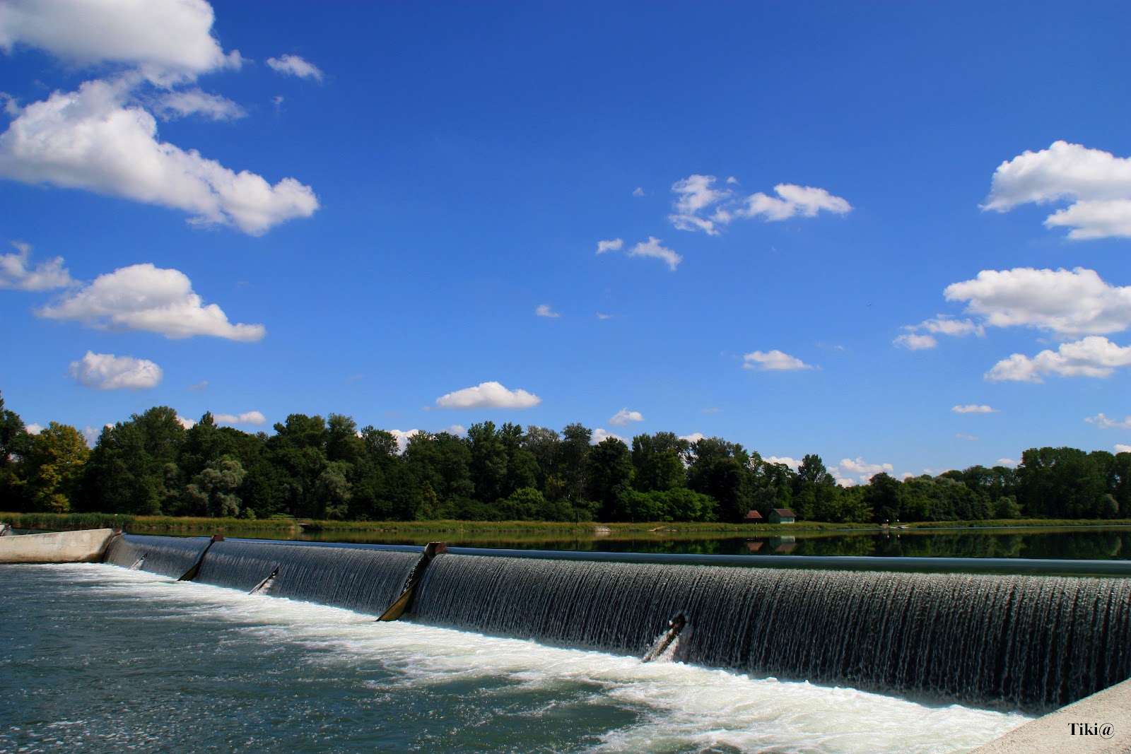 L'île de Rhinau, une petite jungle rhénane l’île vous invite à la ...