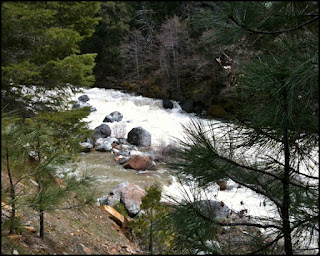 Siskiyou County Camping: Views along the Scott River