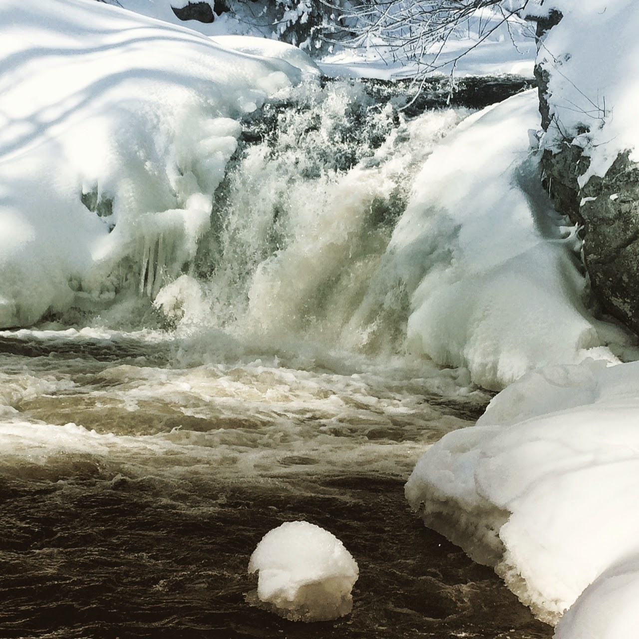 The Freelance Adventurer : Winter Walk in Gonic Trails