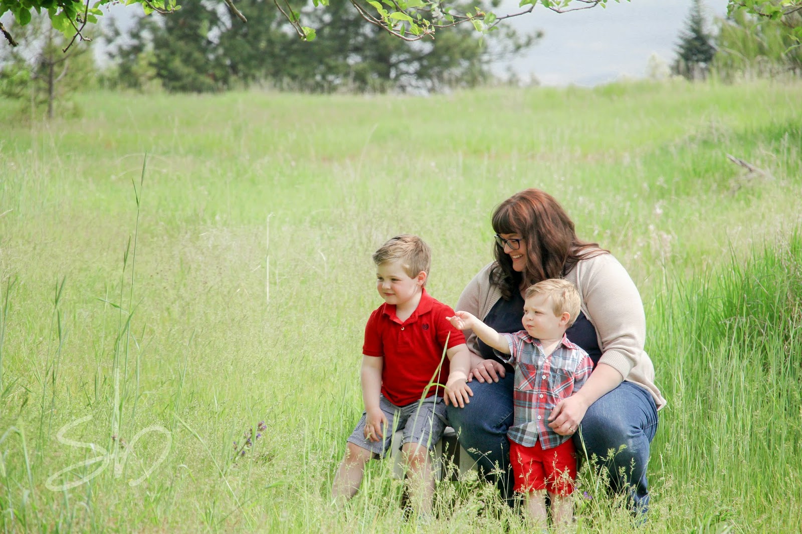 Sugarbee Photography : the dallman boys