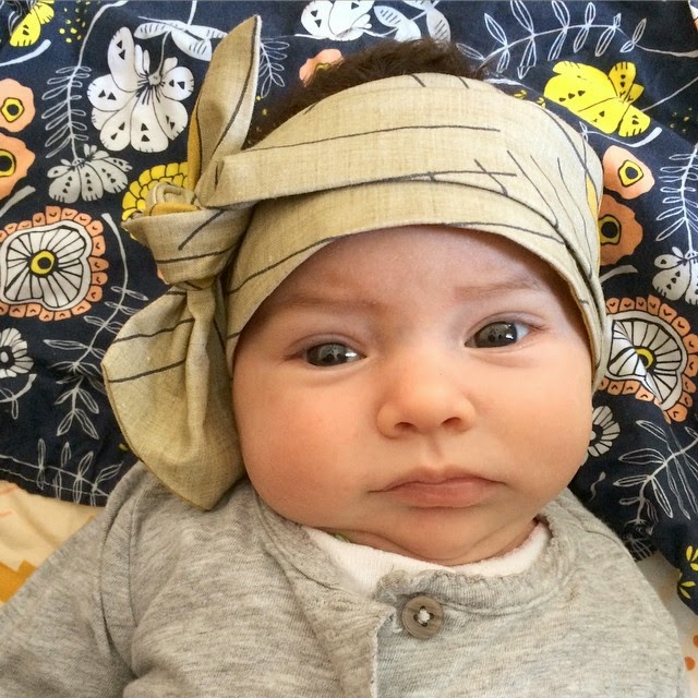 {olives on a monday} the swanys: wrenley {one month}