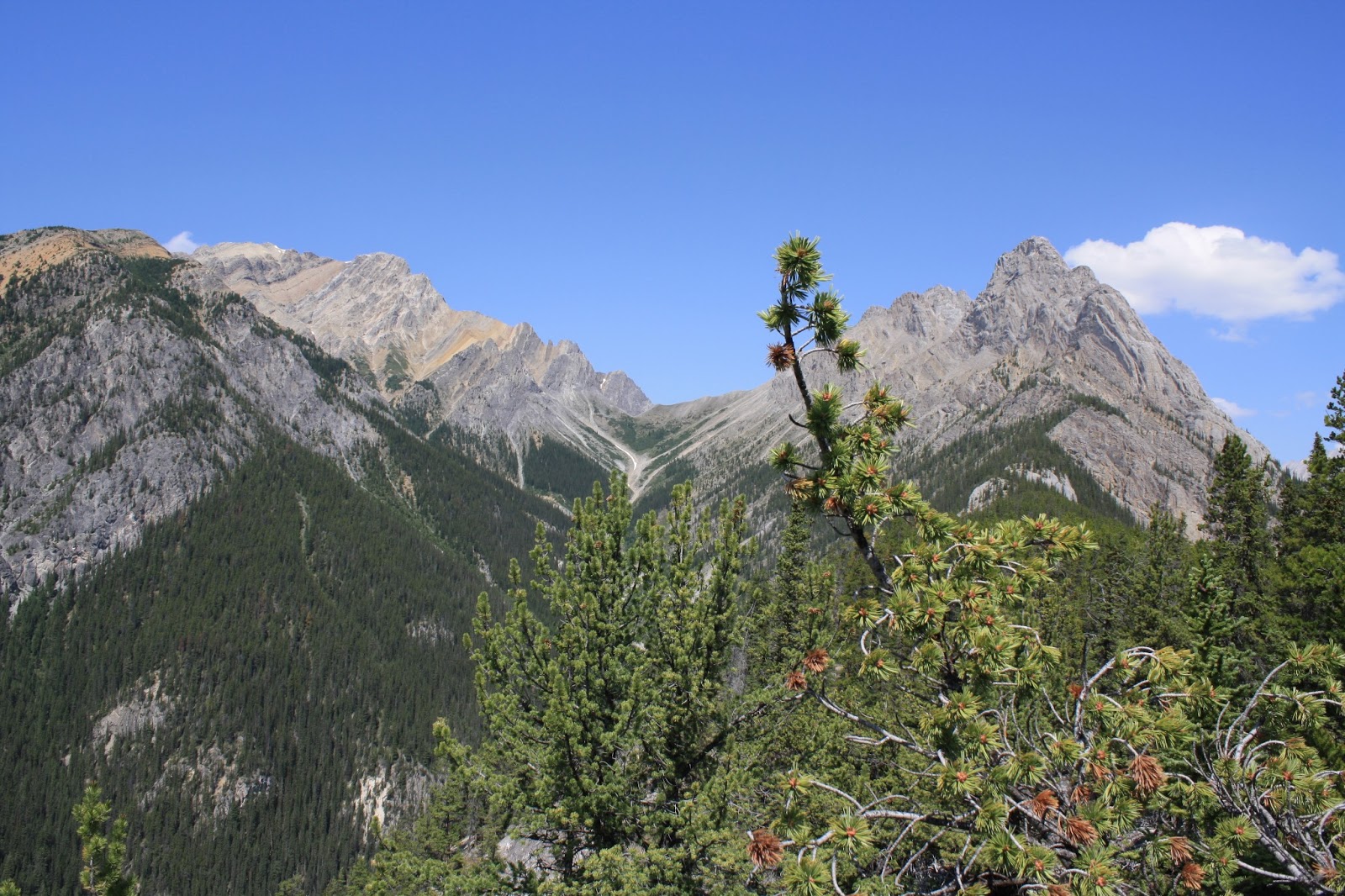 Get Me Outdoors: Cory Pass & Edith Pass