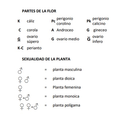 Informes de Biología vegetal.: Flores