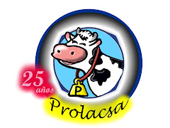 Prolacsa: Productos