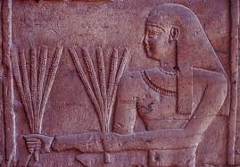 Bible Messages: 10 Salot Sa Lupain Ng Ehipto