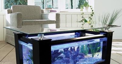 Contoh Aquarium Meja Yang Keren Unik dan Menarik - Dunia Akuarium