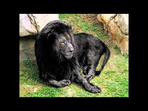 LA NATURALEZA Y LOS SERES VIVOS: 07/07/14