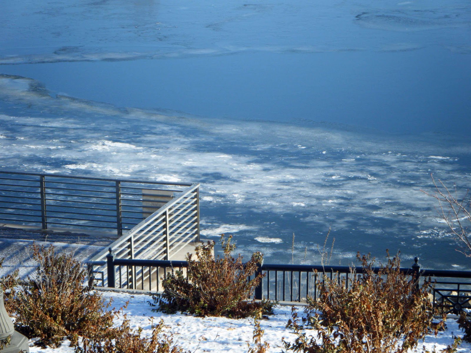 Adventures Here and There: January Summer