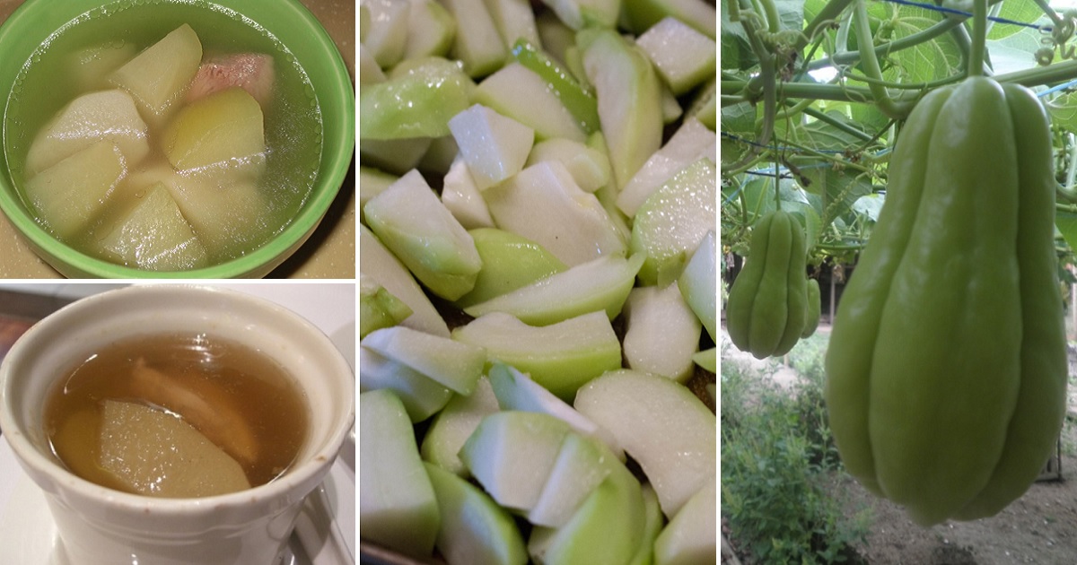 10 Surprising Health Benefits of Sayote (Chayote) Most People are Not ...