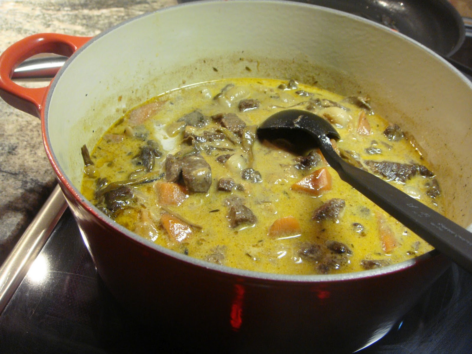 The not so extraordinary life of Jonas in Sapporo: Moose stew