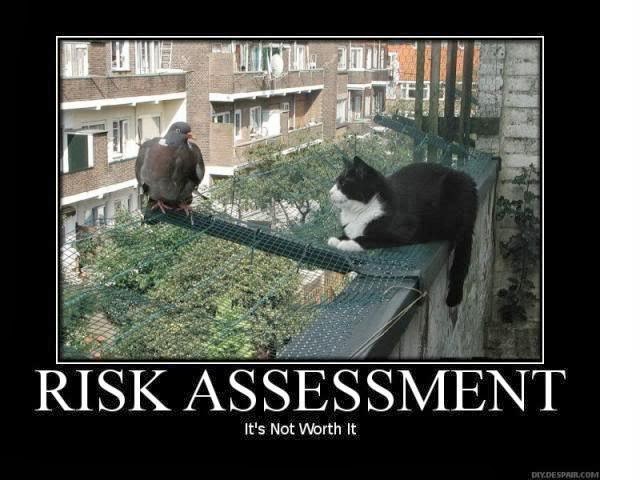 Group 20.: PLANNING - Risk Assessment