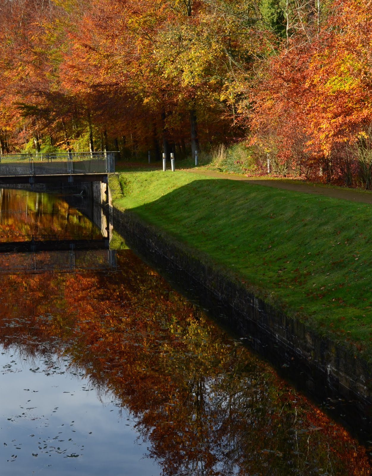 Tour Scotland: Tour Scotland Photographs Autumn Trees Perthshire ...
