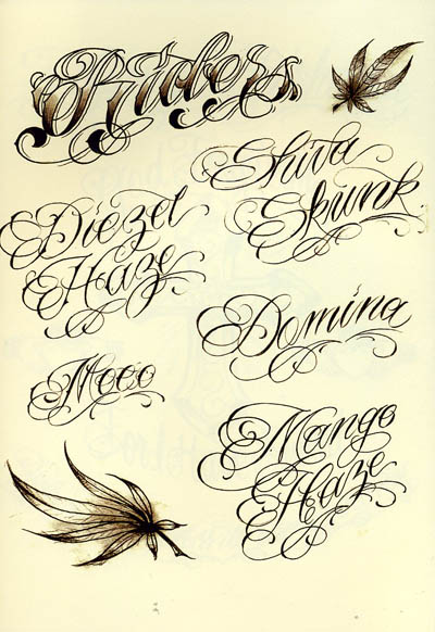 ゴミネコ ブクス 日本: Boog Script Book