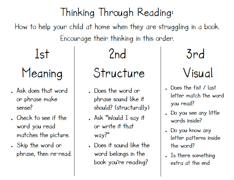 Zig's Kids: Literacy