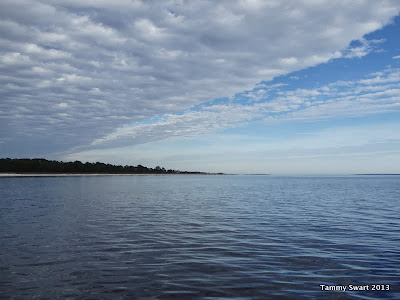 Things we did today...: Mid-Gulf Florida Adventures